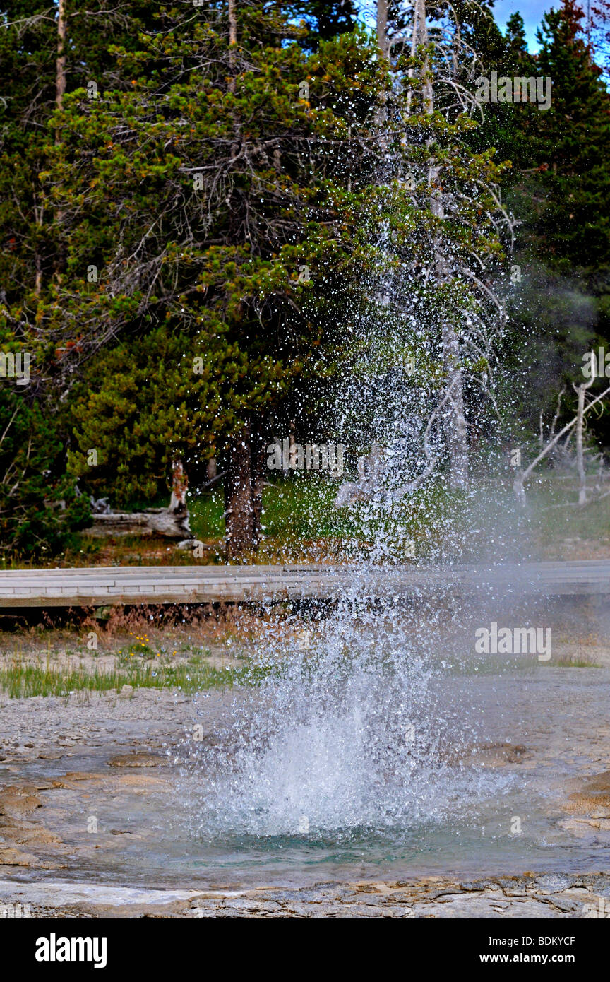 Water boiling in a spring in Yellowstone national park Stock Photo - Alamy