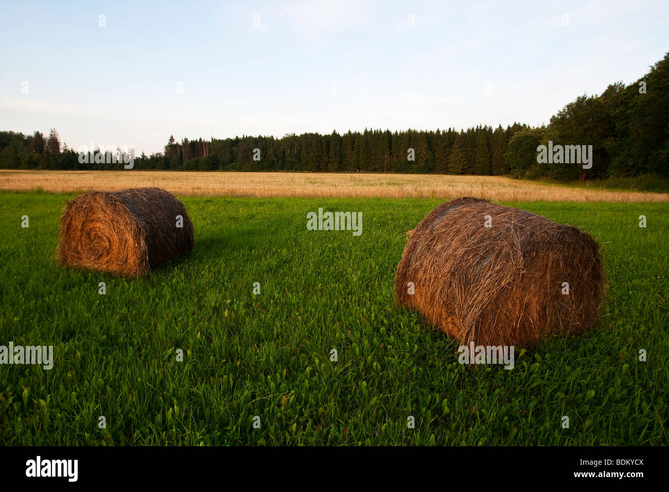 Rolls of hay Stock Photo - Alamy