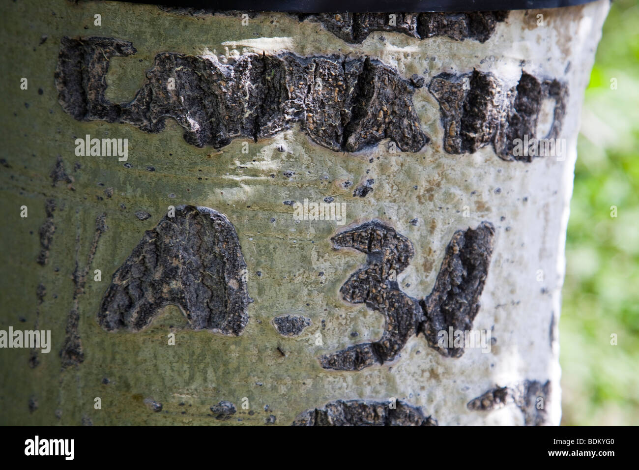 Human made marking hi-res stock photography and images - Alamy