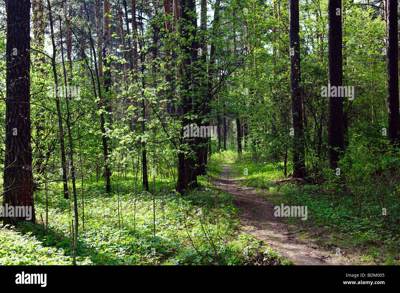 Hike horizontal hi-res stock photography and images - Alamy