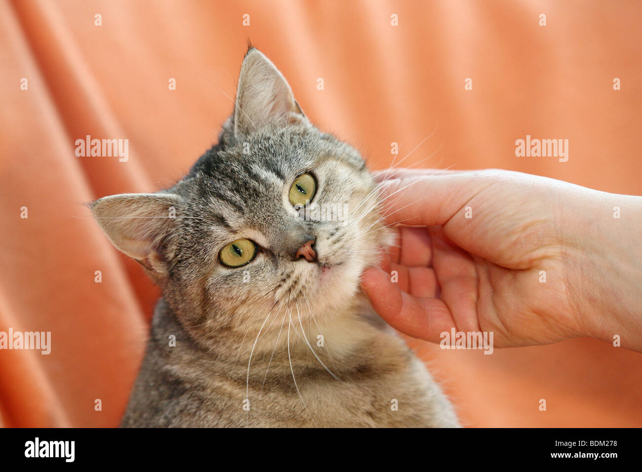 Fondled hi-res stock photography and images - Alamy