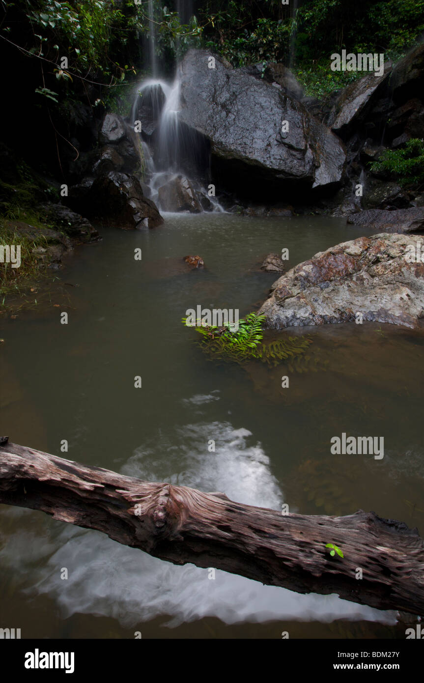 The Pha Takien waterfall in the forests of the Pang Sida National Park ...