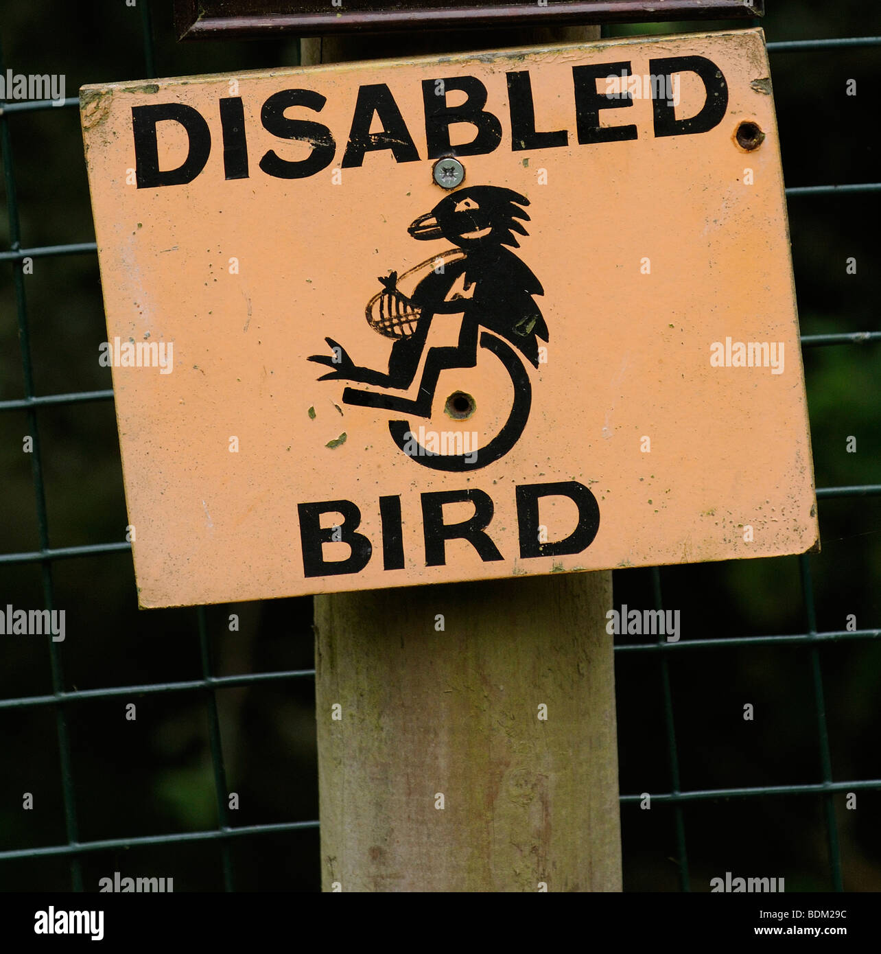 Disabled bird sign Stock Photo - Alamy