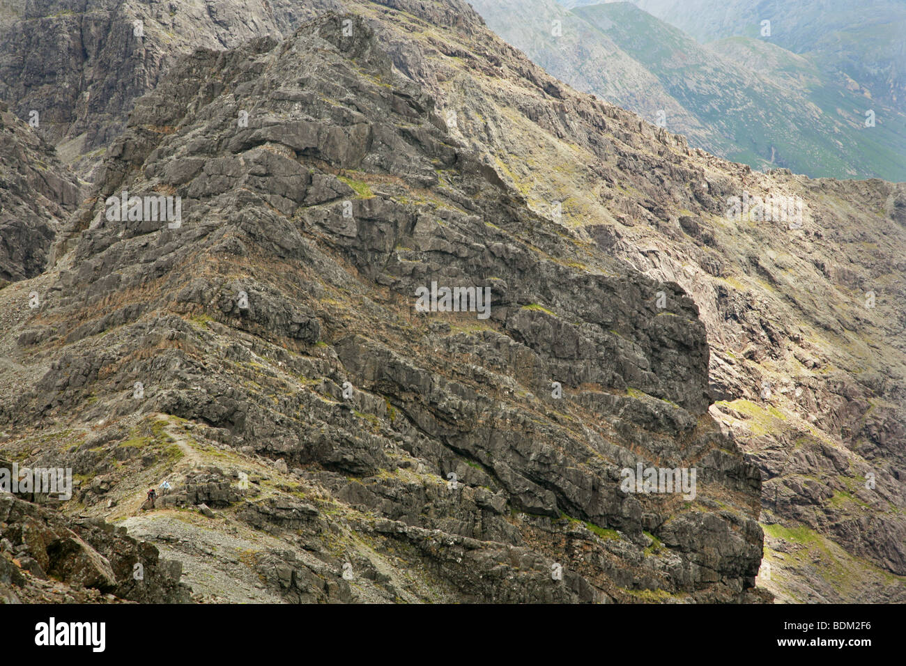 Basteir tooth hi-res stock photography and images - Alamy