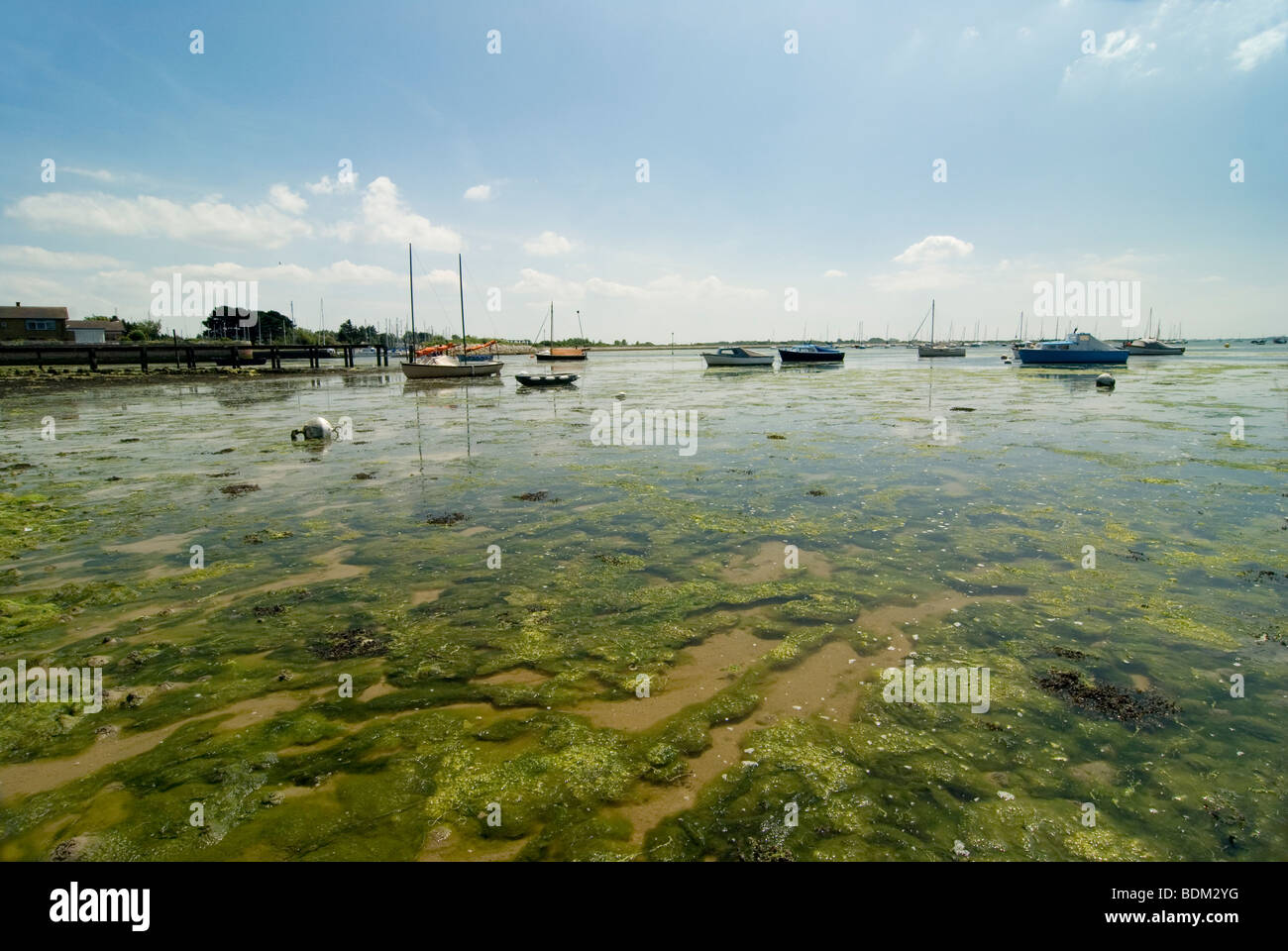 emsworth harbour shoreline with seaweed in shallow water a jetty and ...