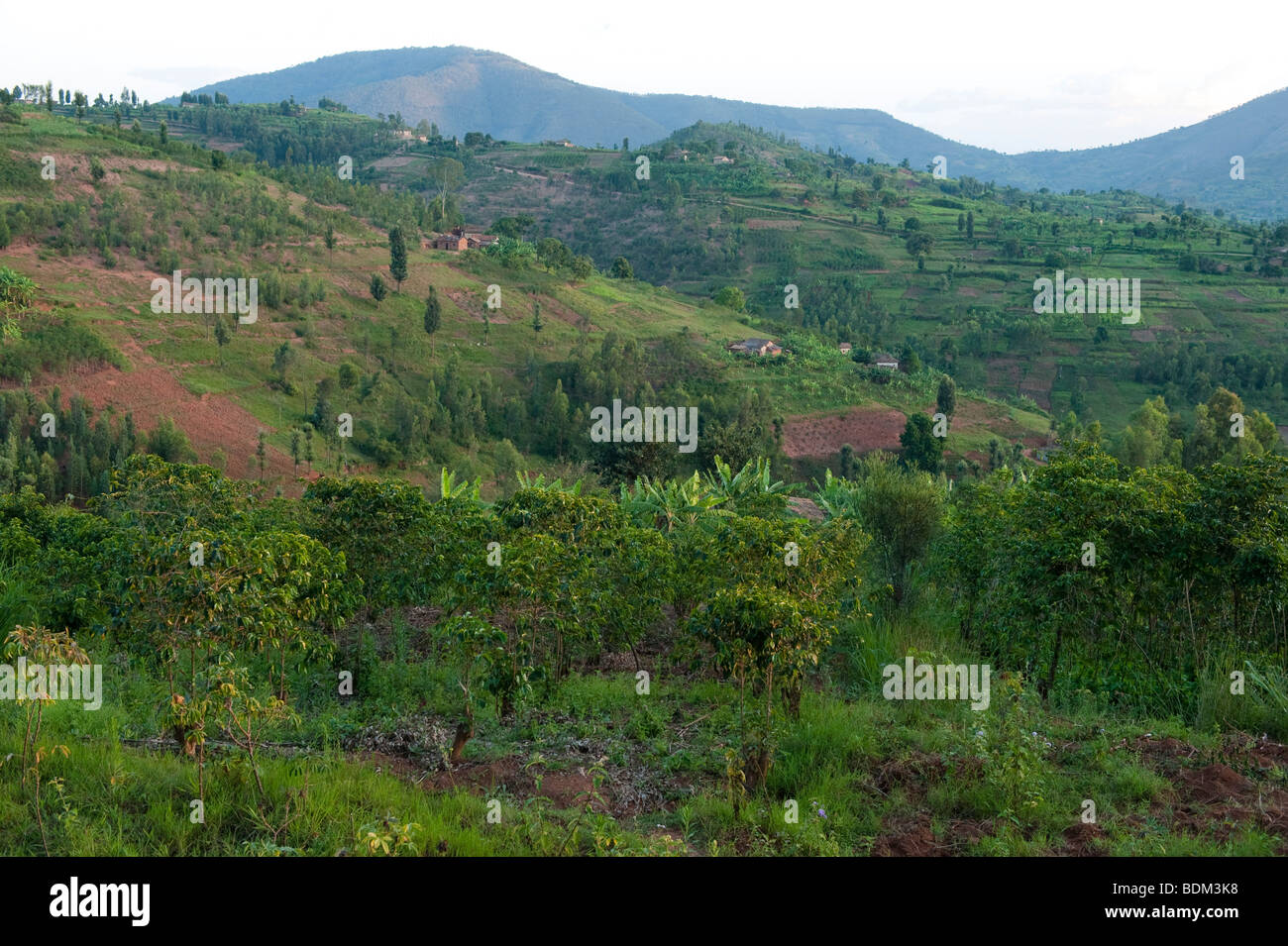 Rwandan scenery hi-res stock photography and images - Alamy