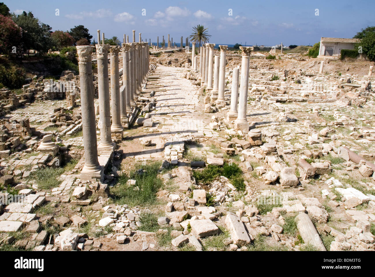 Tyr city Lebanon Stock Photo - Alamy