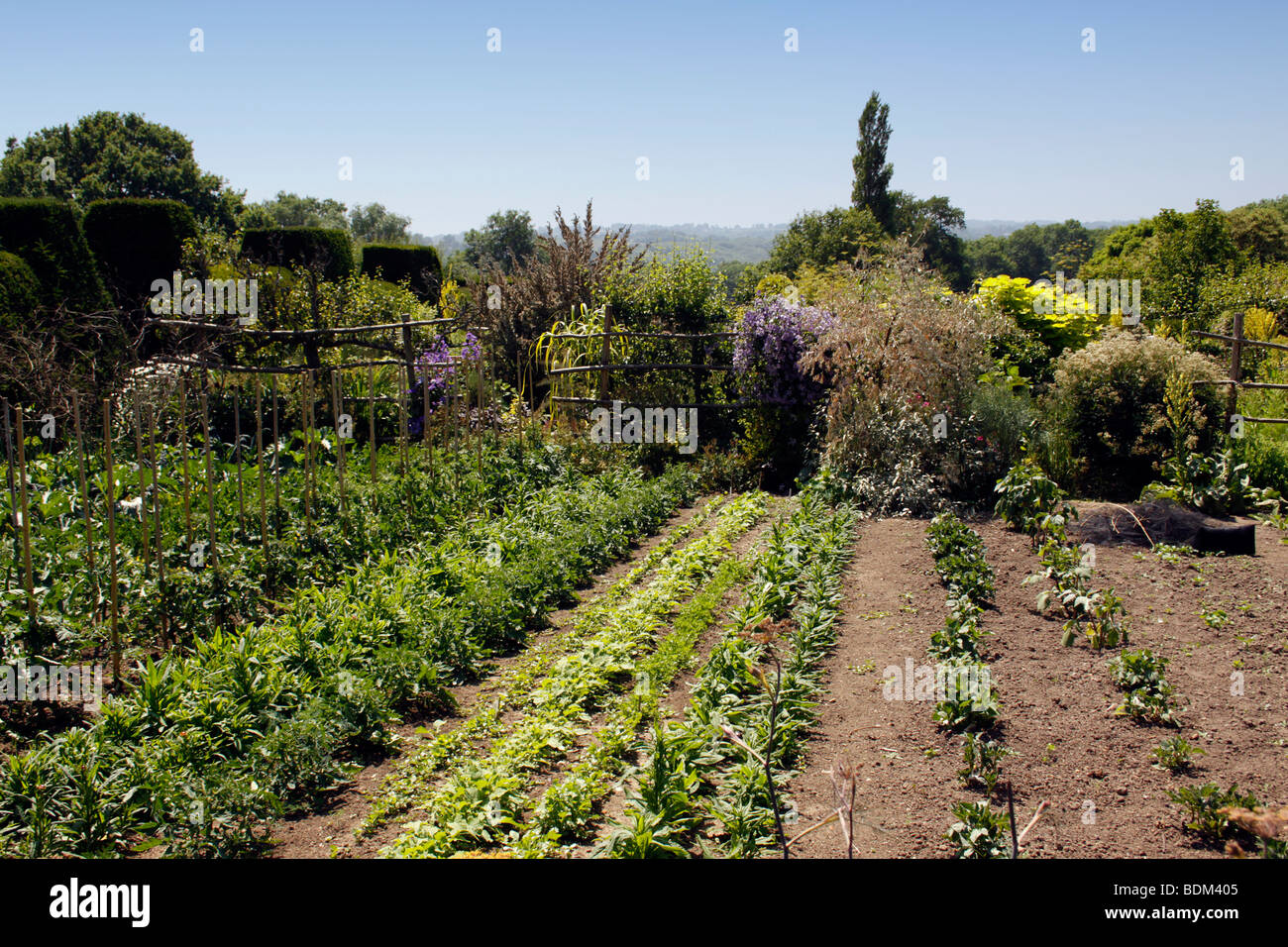 A VEGETABLE PATCH IN AN ENGLISH COTTAGE GARDEN. UK Stock Photo - Alamy