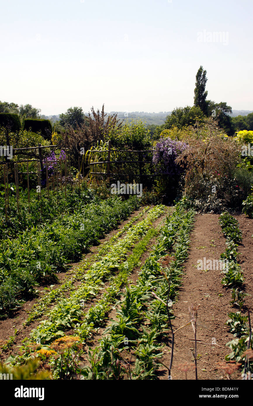 A VEGETABLE PATCH IN AN ENGLISH COTTAGE GARDEN. UK Stock Photo - Alamy