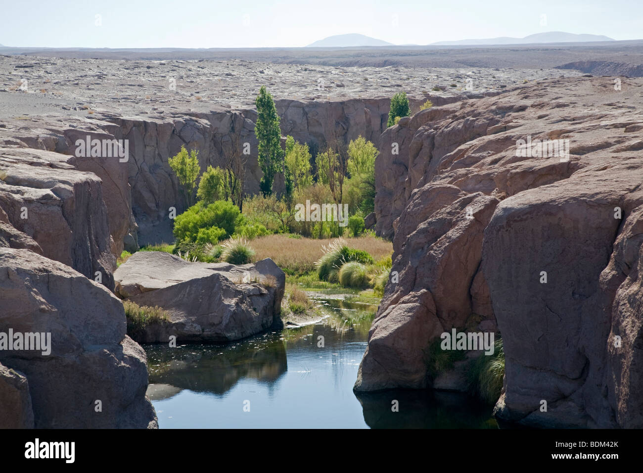 Gorge and River at Toconao, Atacama Desert, Chile Stock Photo - Alamy