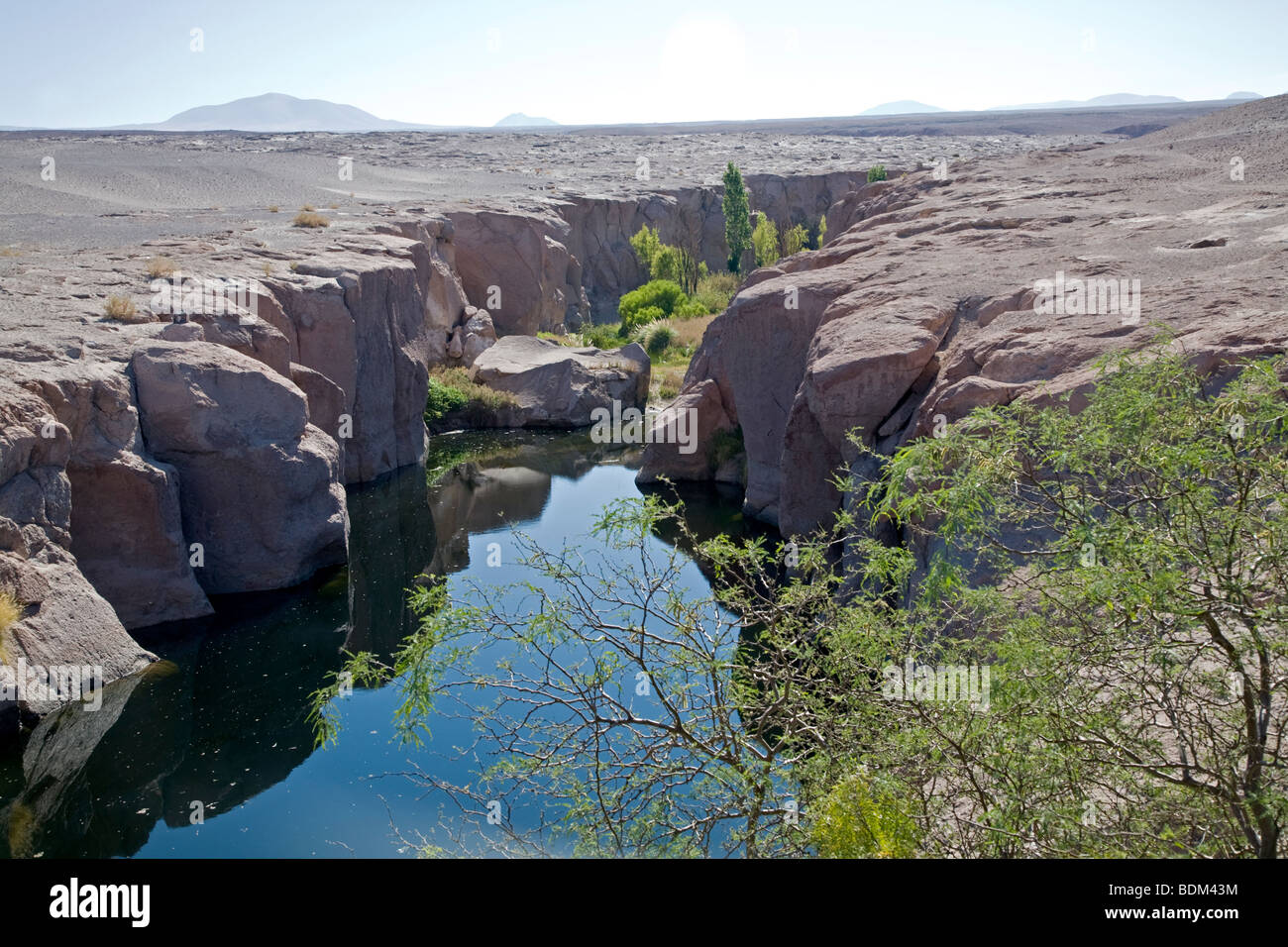 Gorge and River at Toconao, Atacama Desert, Chile Stock Photo - Alamy