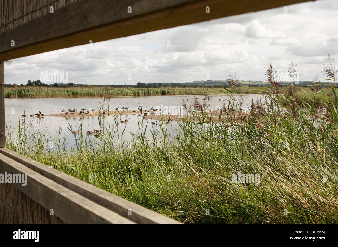 "Bird hide" view of wetland, RSPB Otmoor Nature Reserve, Oxfordshire ...