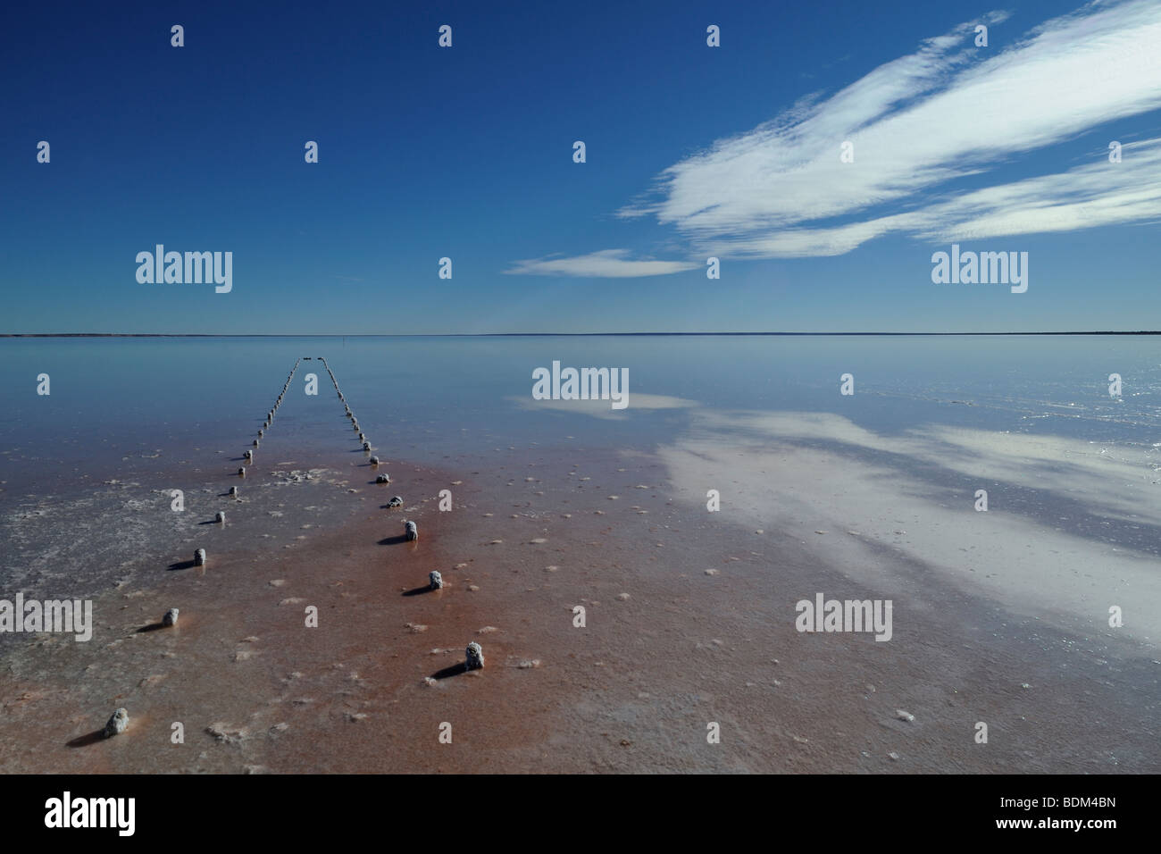 Lake Hart is a salt lake in South Australia. This shows the remains of ...