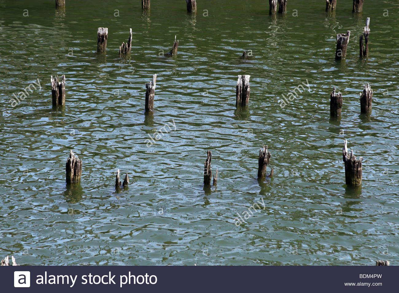 Pile Of Water Stock Photos & Pile Of Water Stock Images - Alamy