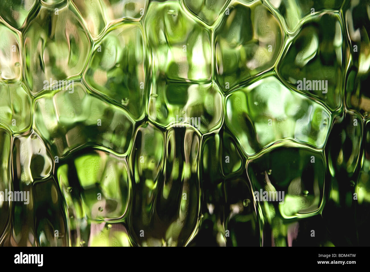 Green textured glass Stock Photo - Alamy