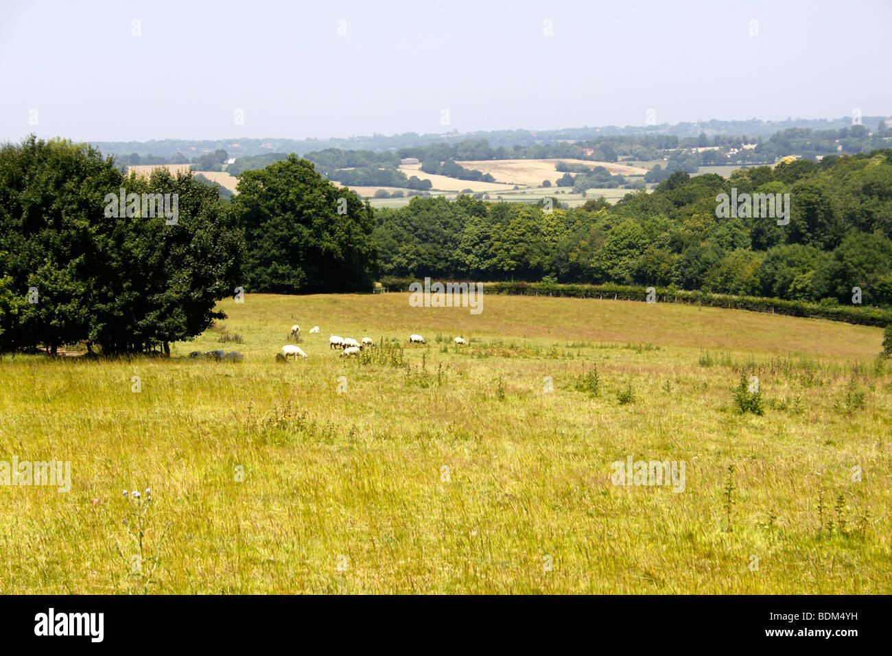 English farming landscape hi-res stock photography and images - Alamy