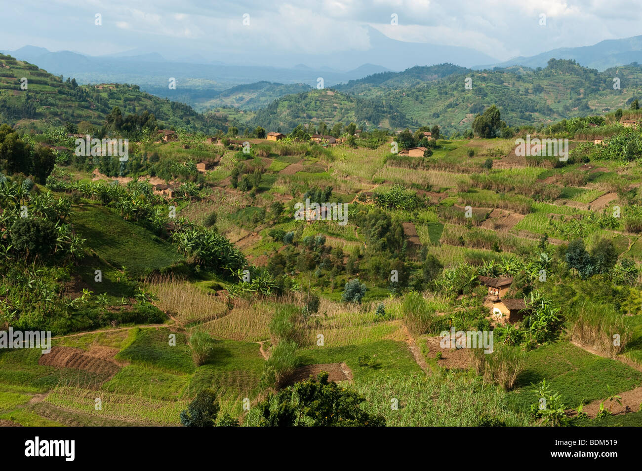 Terrace farming rwanda hi-res stock photography and images - Alamy