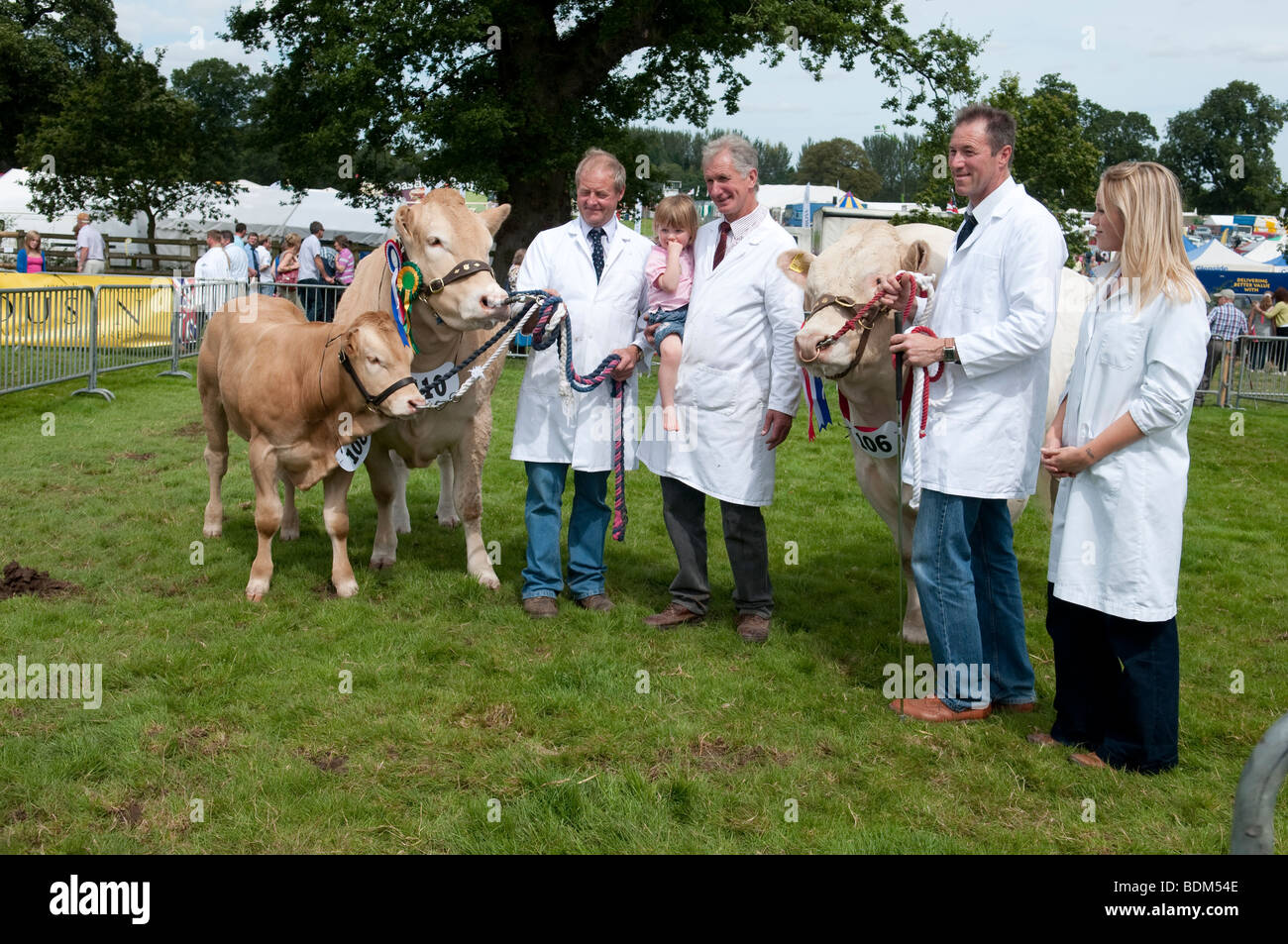 Cattle handlers hi-res stock photography and images - Alamy