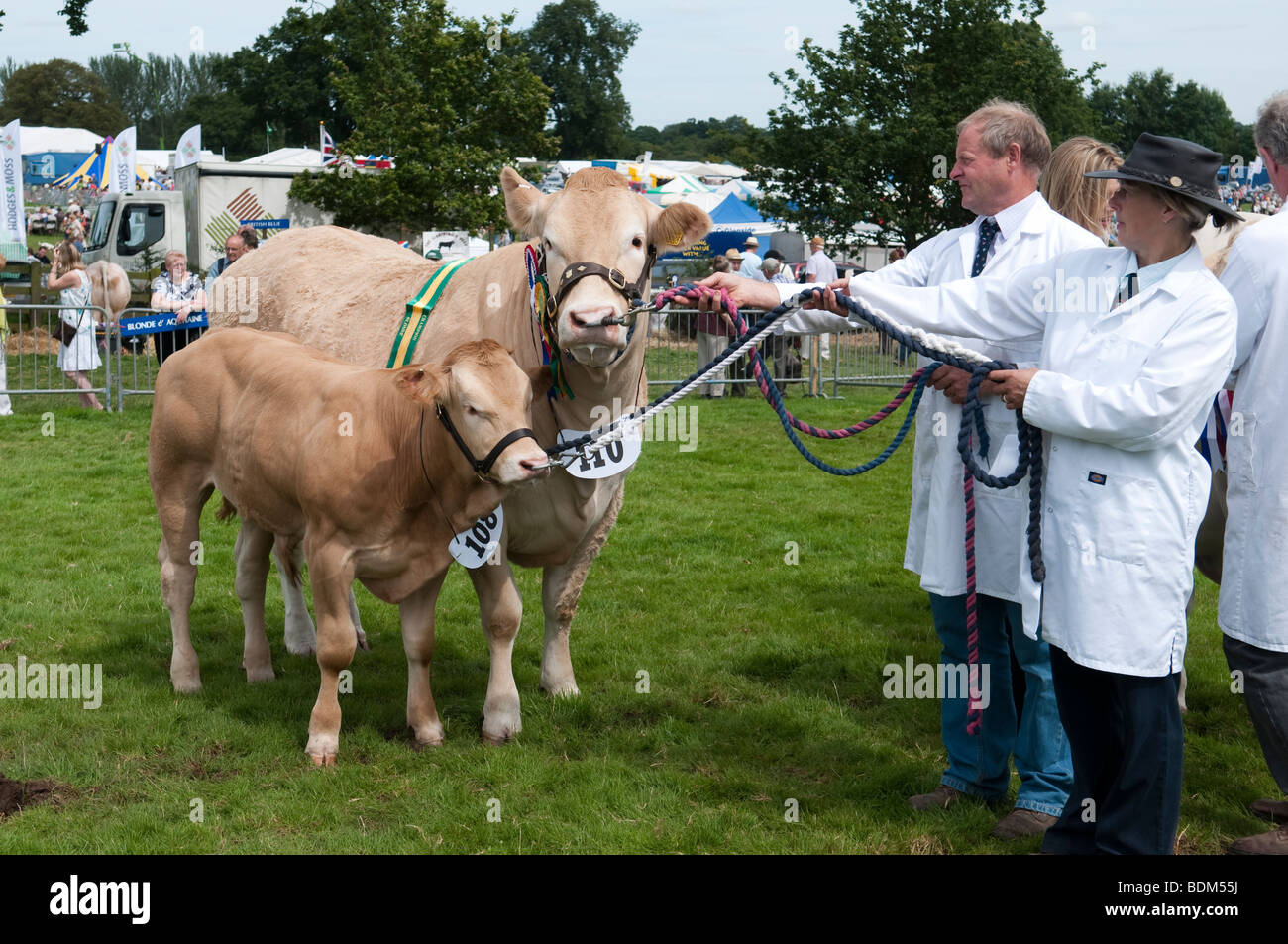 Livestock handling hi-res stock photography and images - Alamy