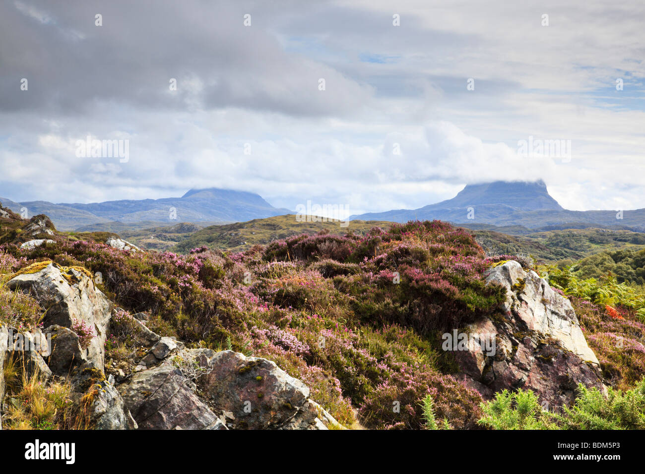 Mount Suilven and Canisp, with Ben More Assynt in the background Stock ...