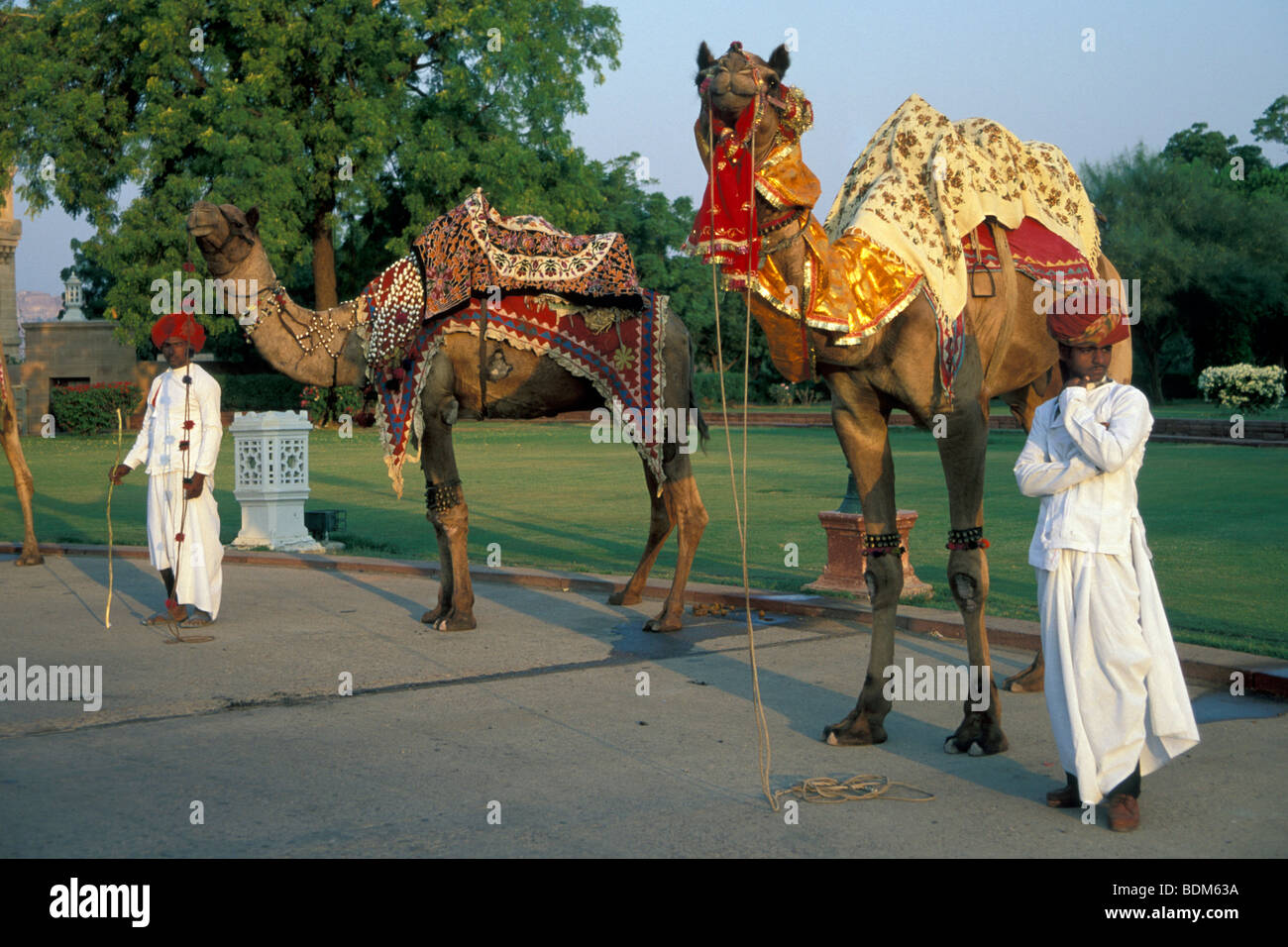 Tribes of kerala hi-res stock photography and images - Alamy