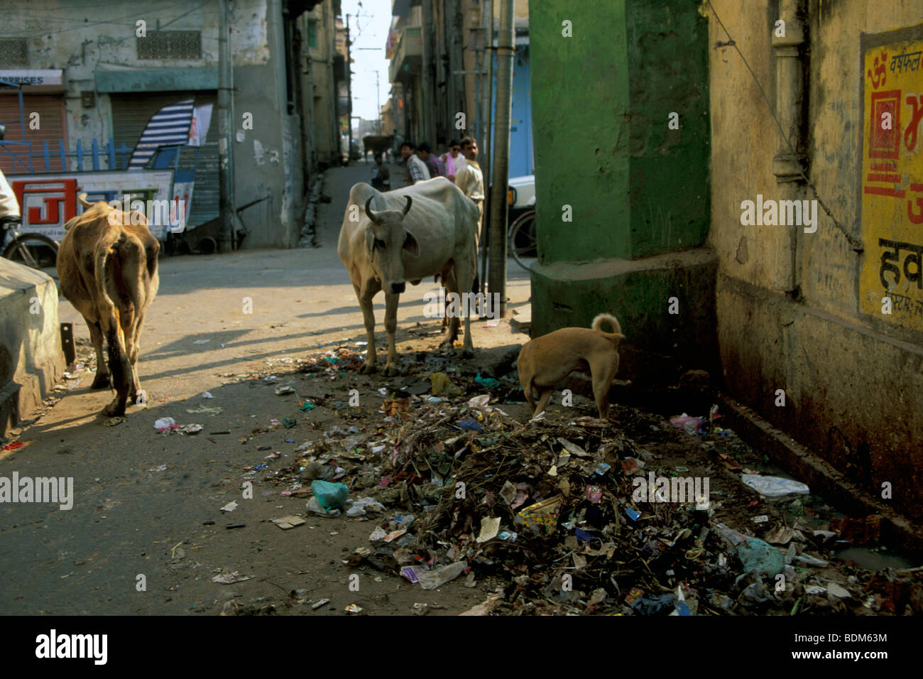 india, kerala region Stock Photo - Alamy
