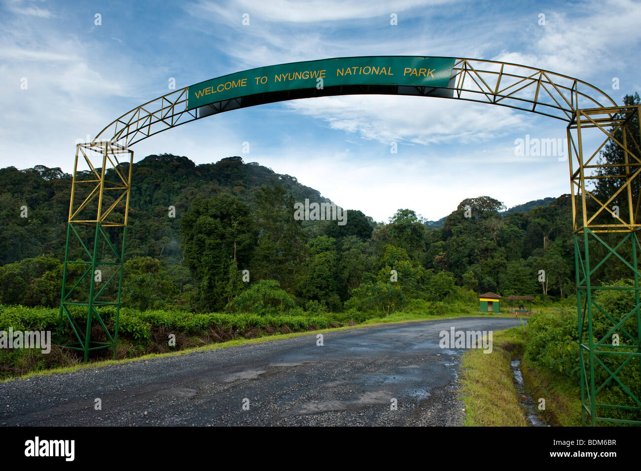 Entrance to Nyungwe Forest National Park, Rwanda Stock Photo - Alamy
