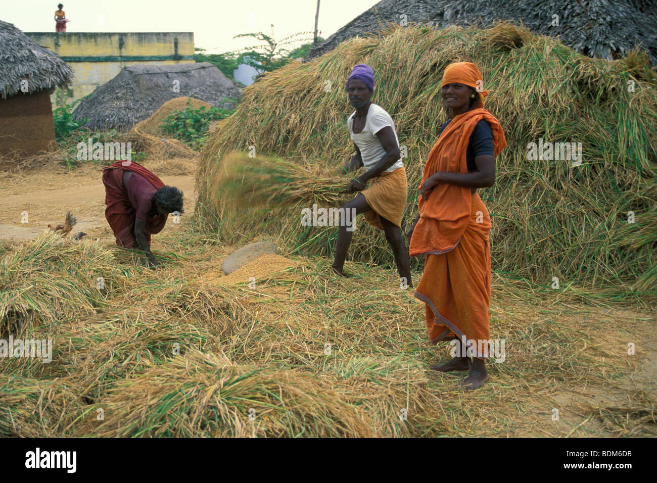 india, kerala, daily life Stock Photo - Alamy