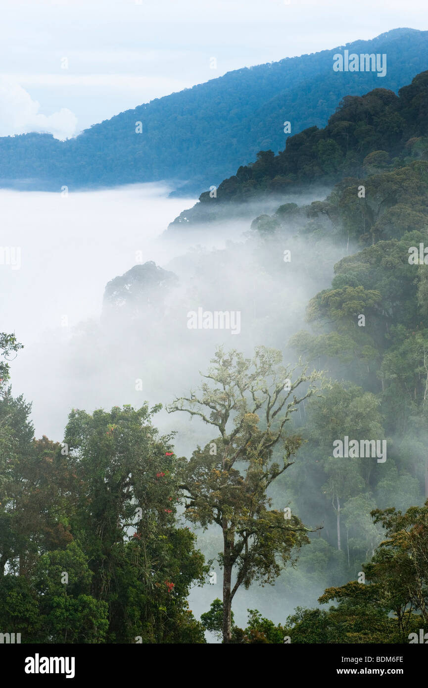 Rwanda landscape hi-res stock photography and images - Alamy