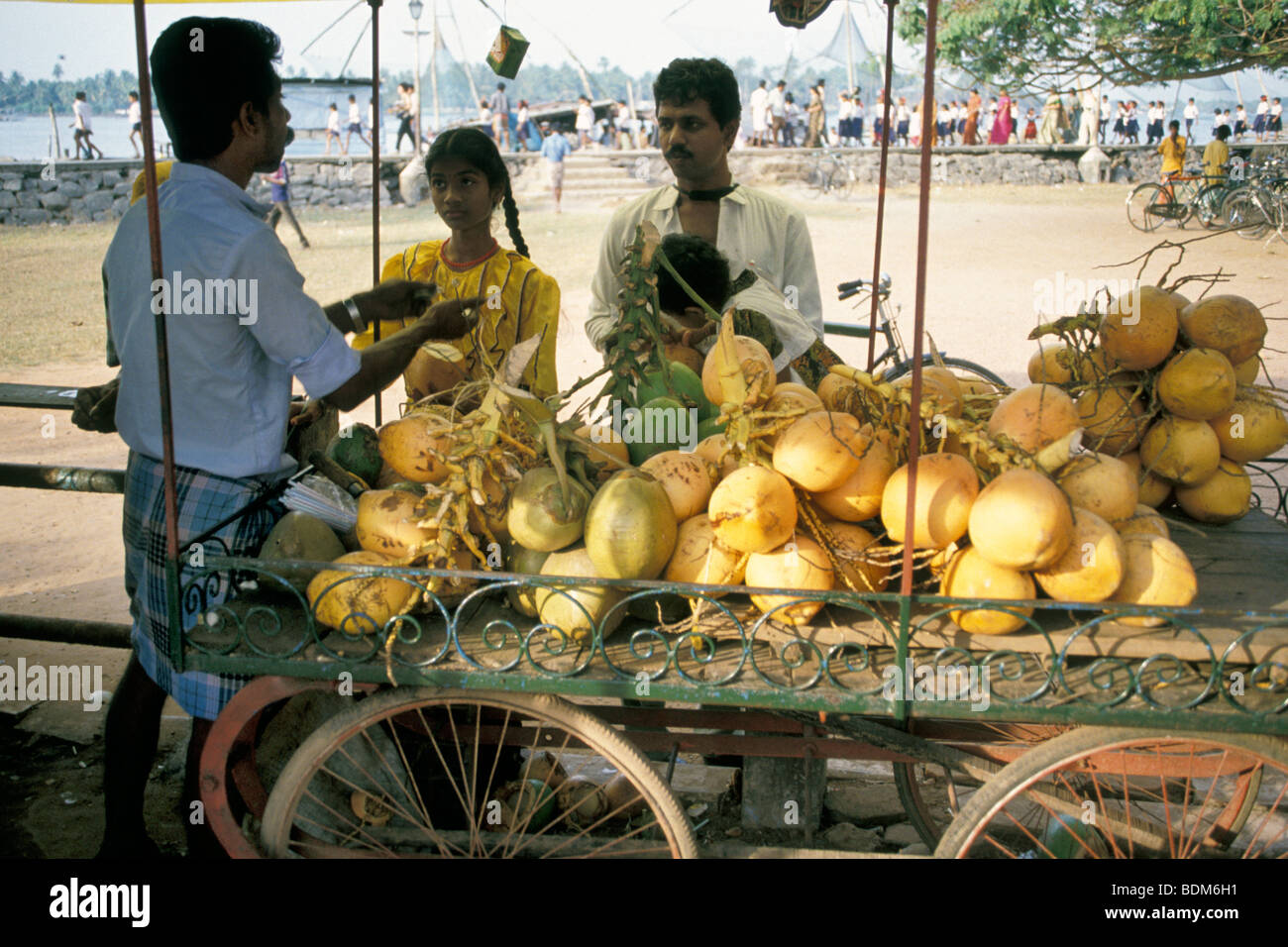 India coconut seller kerala hi-res stock photography and images - Alamy