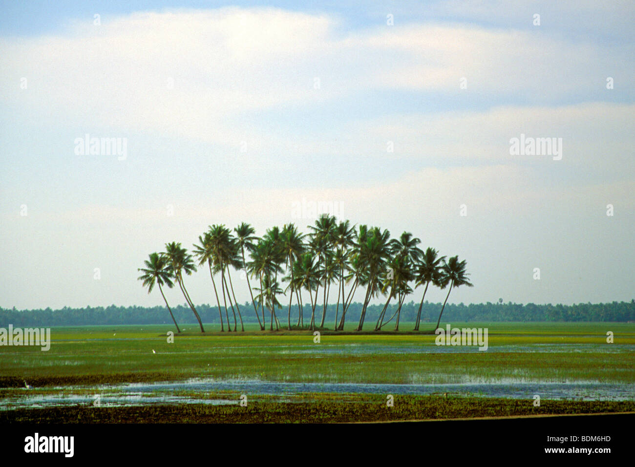 india, kerala, landscape Stock Photo - Alamy