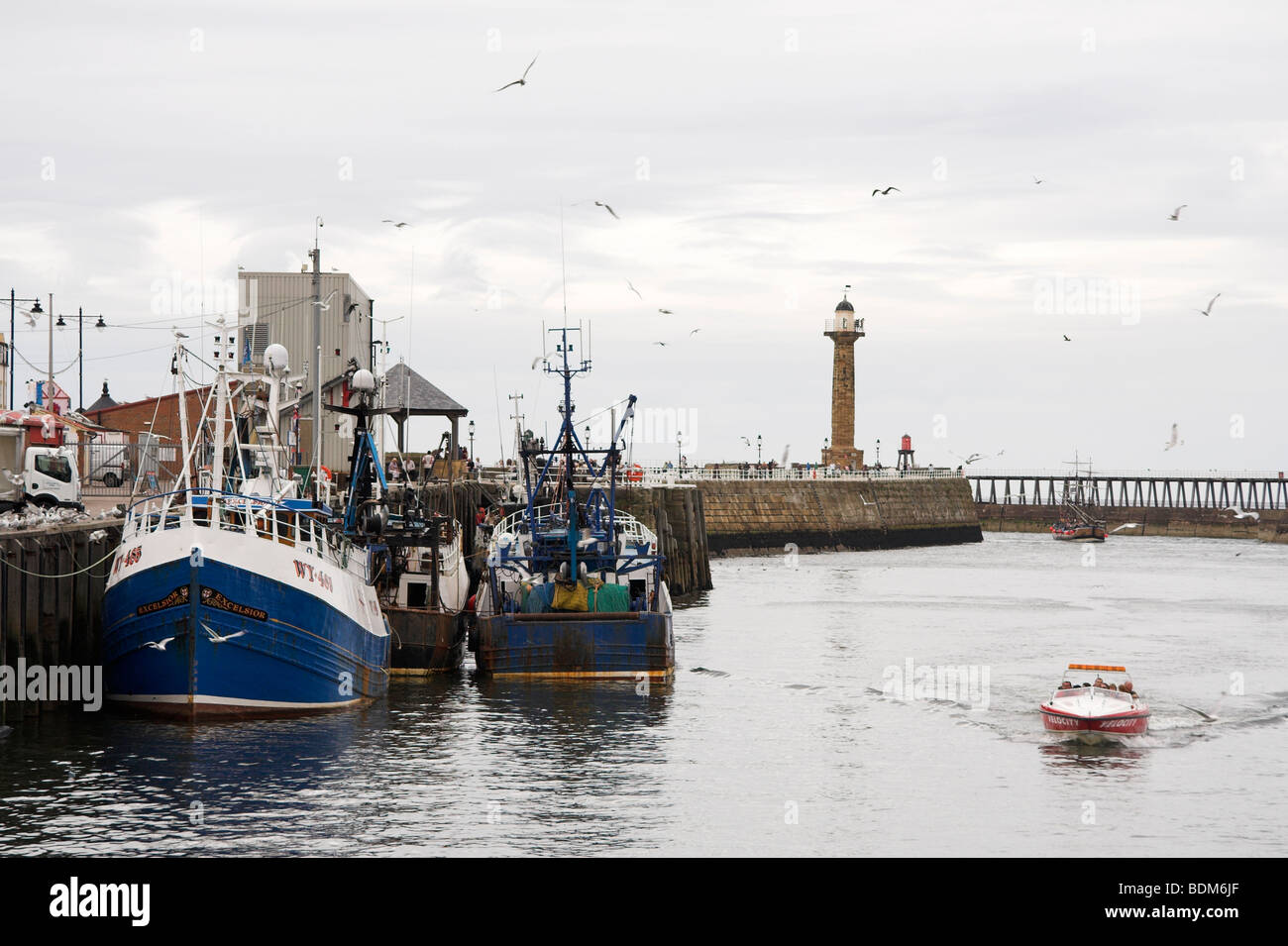 Seagulls flying around Whitby Harbour, with West Pier Lighthouse in the ...