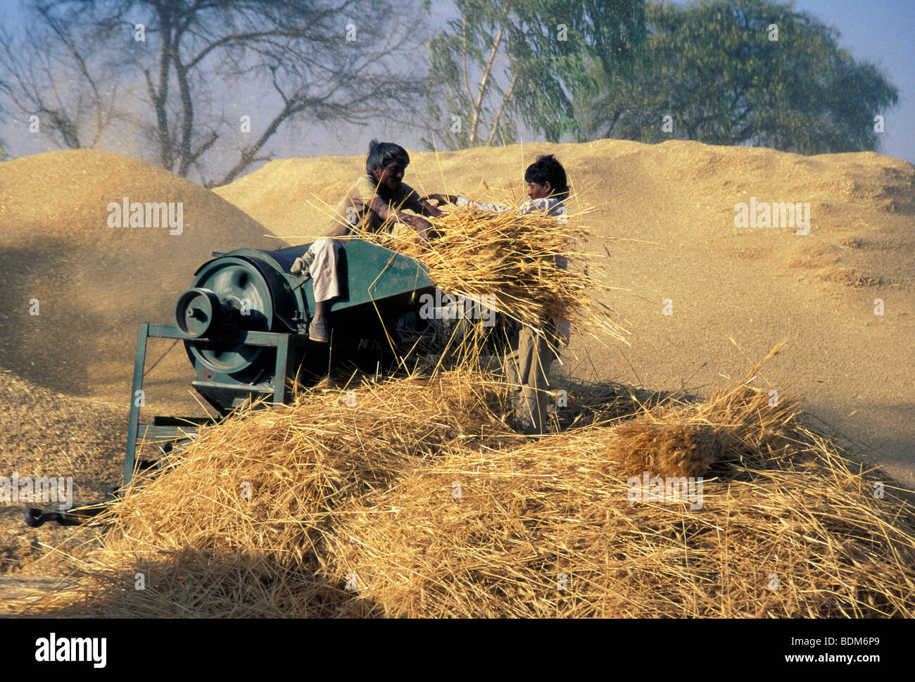 india, work in the field Stock Photo - Alamy