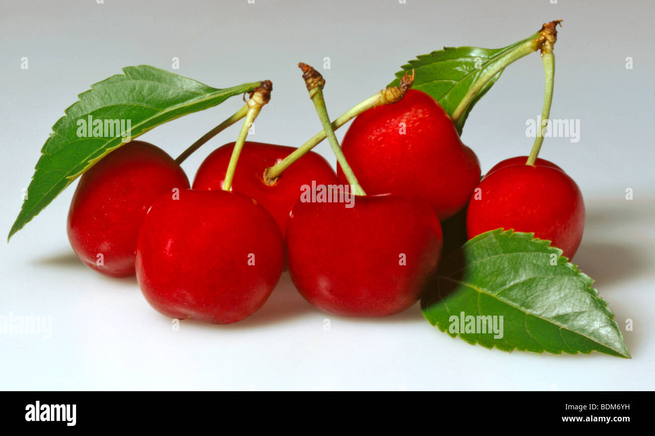 Cherry cherries fruit hi-res stock photography and images - Alamy