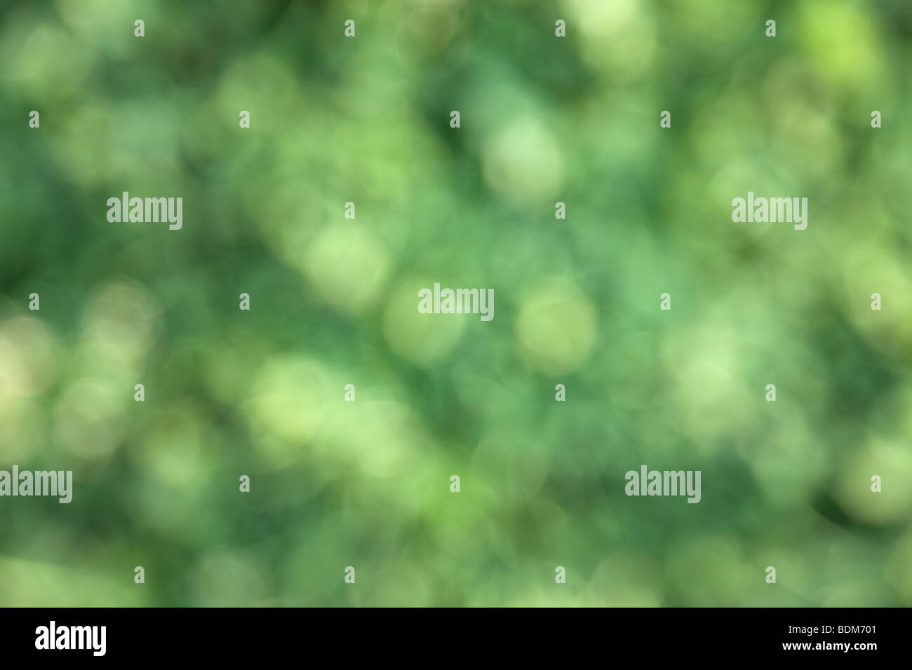 Abstract green image hi-res stock photography and images - Alamy