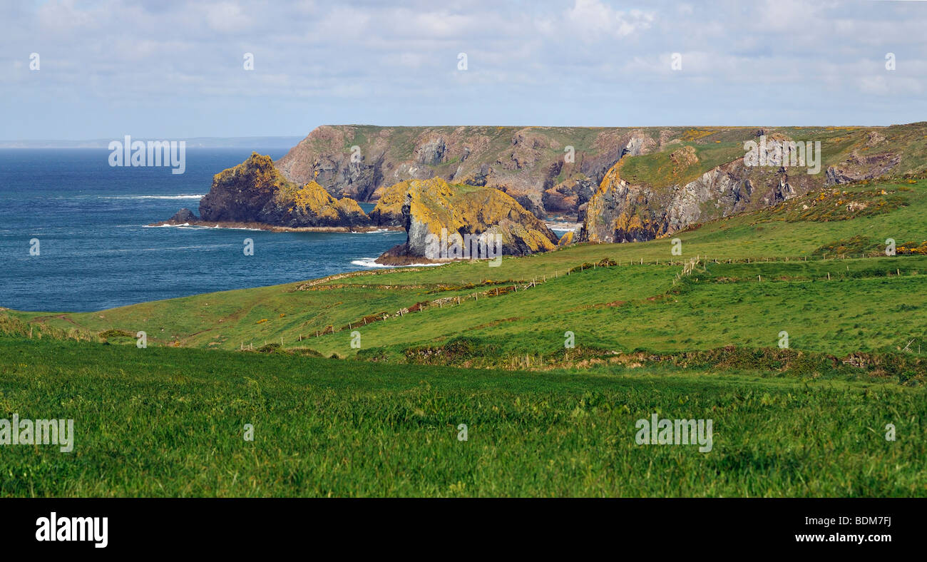 Lion Rock, Gull Rock, and Kynance Cove, viewed from Venton Hill ...