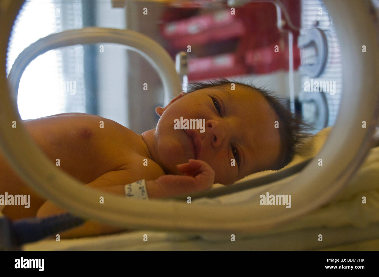 Premature Baby Incubator Stock Photos & Premature Baby Incubator Stock ...