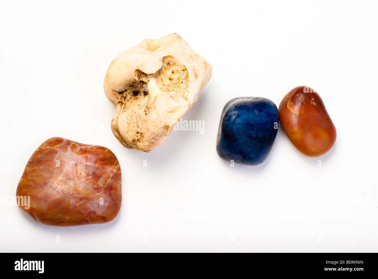 Colored rocks and moose vertebra on white background Stock Photo - Alamy