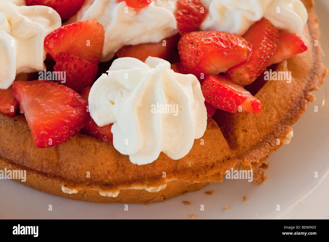 Waffle whipped cream strawberry hi-res stock photography and images - Alamy