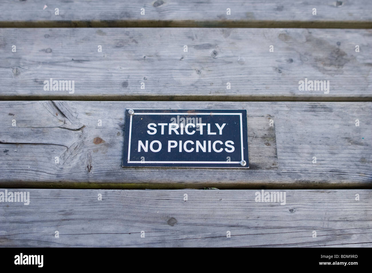 Strictly no Picnics Sign Stock Photo - Alamy