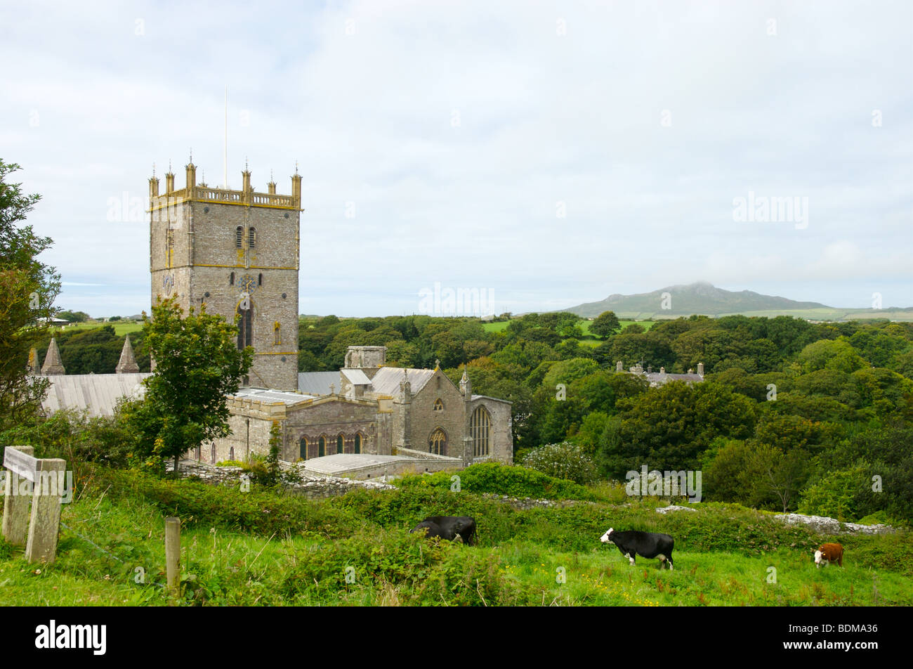 St David's Cathedral in Wales Stock Photo - Alamy
