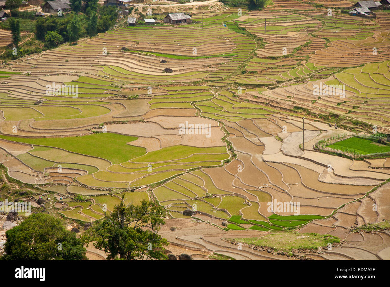 Rice terraces of sapa hi-res stock photography and images - Alamy