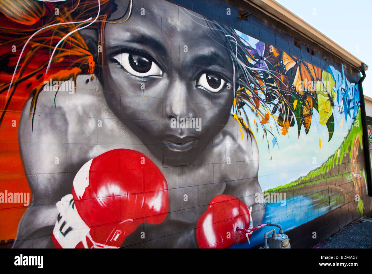 Graffiti art sheepman behind buffalo hi-res stock photography and ...