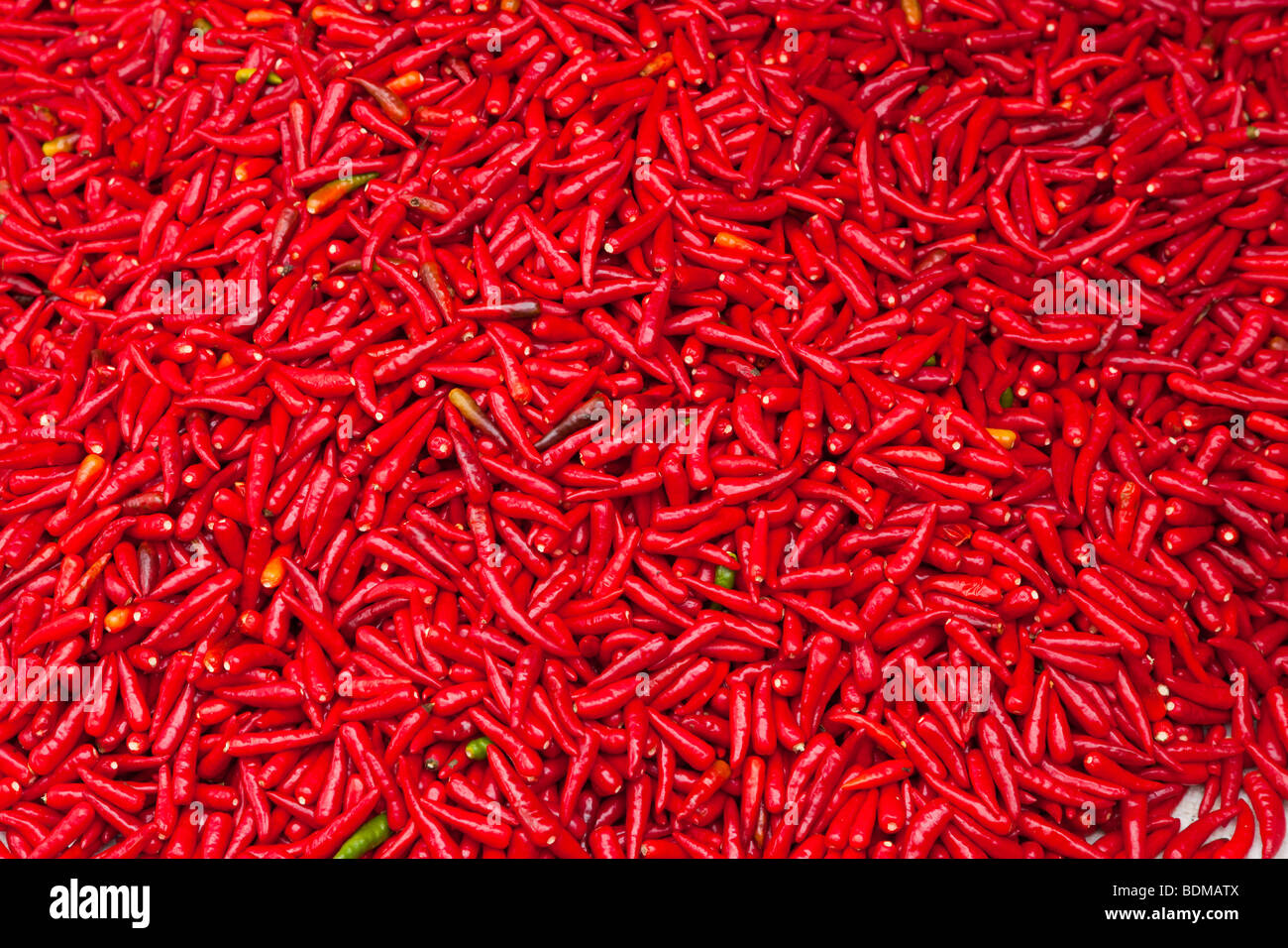 Hot spicy sun hi-res stock photography and images - Alamy