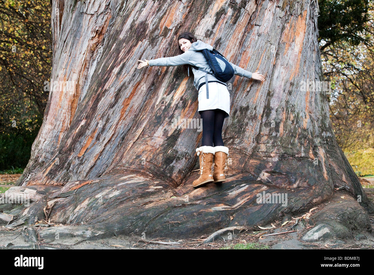 A woman hugging a large tree in Christchurch Botanic Gardens Stock ...