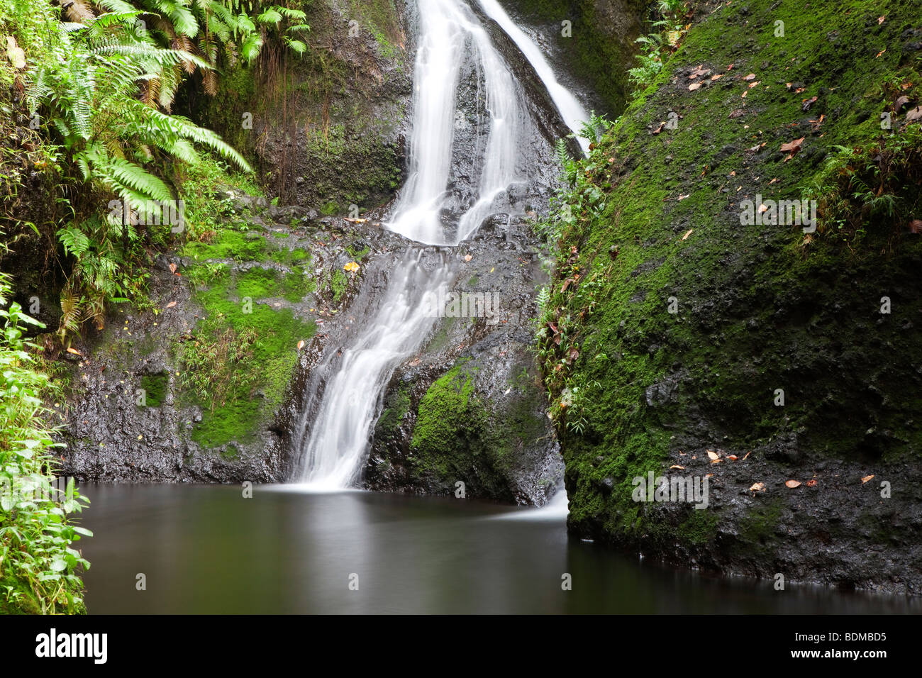 Wigmore's Waterfall on Rarotonga in The Cook Islands Stock Photo - Alamy