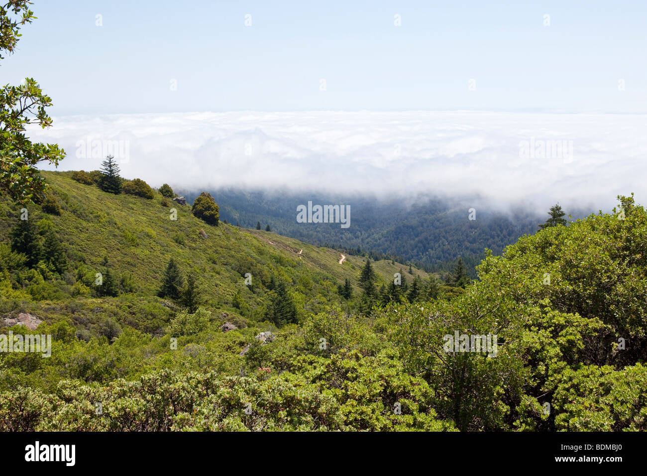 Rolling fog low clouds hi-res stock photography and images - Alamy