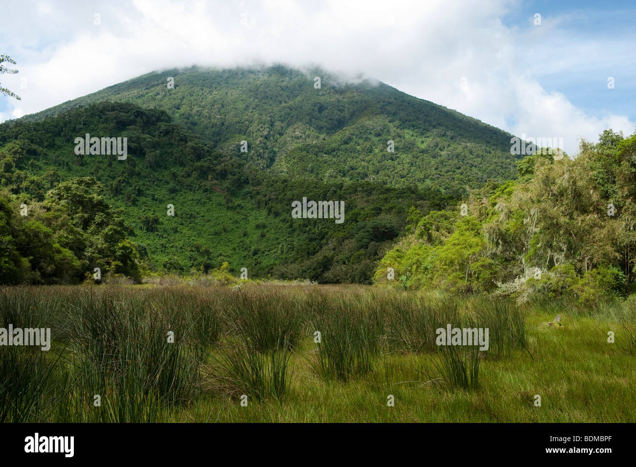 Mount Bisoke, Volcanoes National Park, Rwanda Stock Photo - Alamy
