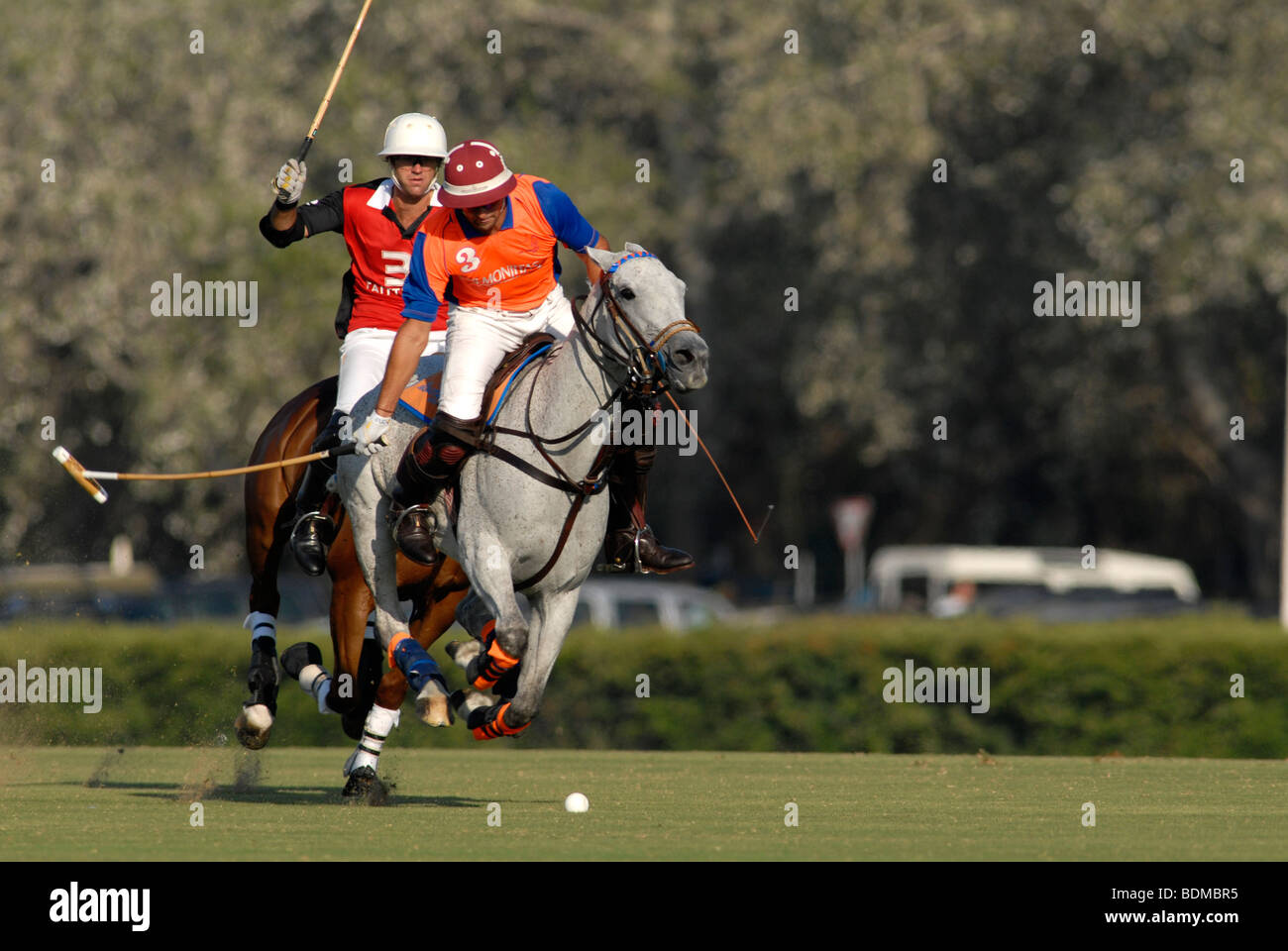 Polo player about to strike ball during match at Santa Maria Polo club ...