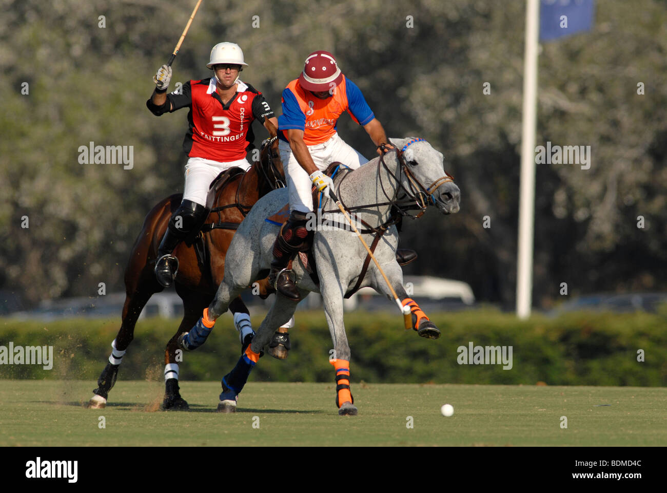 Polo players in action during match at Santa Maria polo club ...